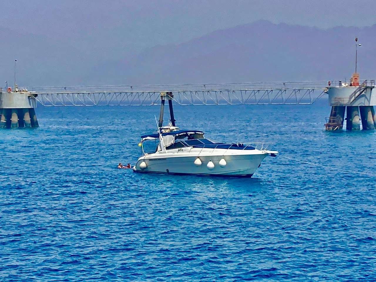 Tarshish - Tarshish Eilat